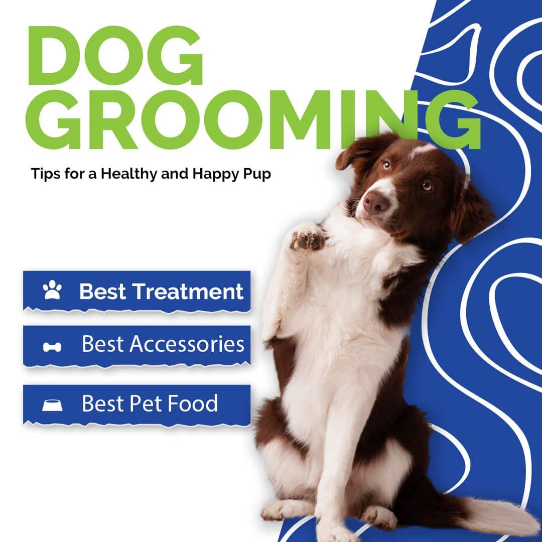 Discover the Best Dog Grooming Tips for a Healthy and Happy Pup ...